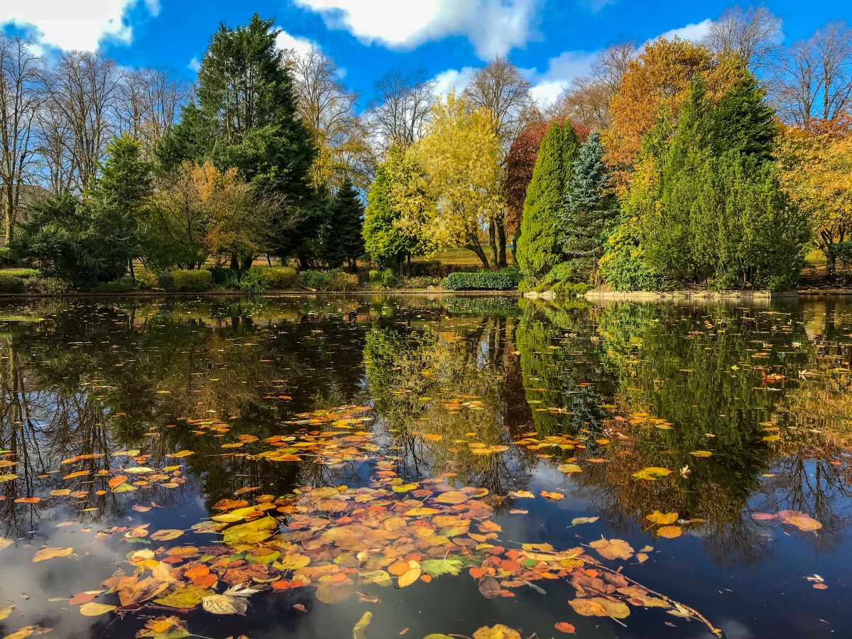 Things To Do – Discover Strathaven