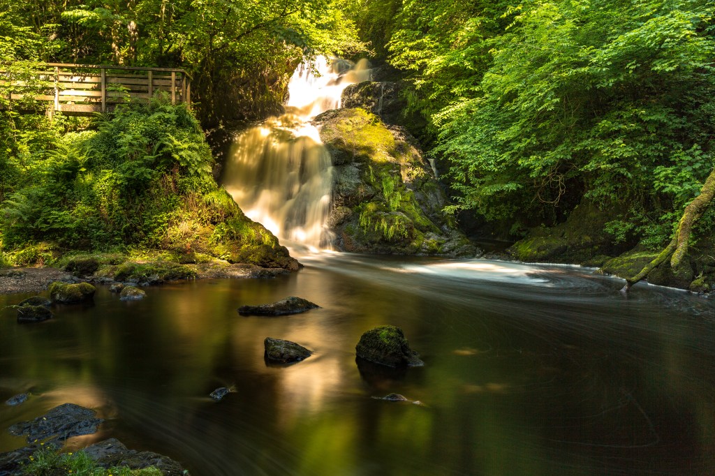 Things To Do – Discover Strathaven